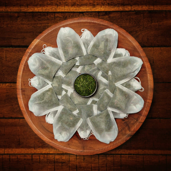 FRESH ORGANIC EASTERN WHITE PINE NEEDLE TEA BAGS - Pine Needle Tea Shop