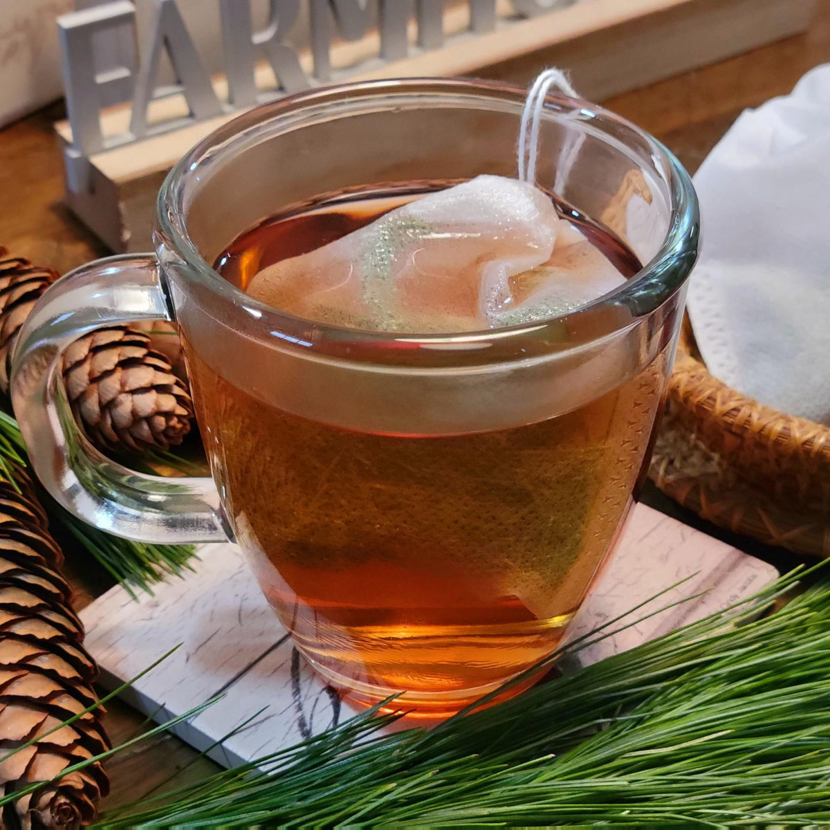 Immune Boosting White Pine Needle Tea Bags - Fresh, Convenient & Ready ...