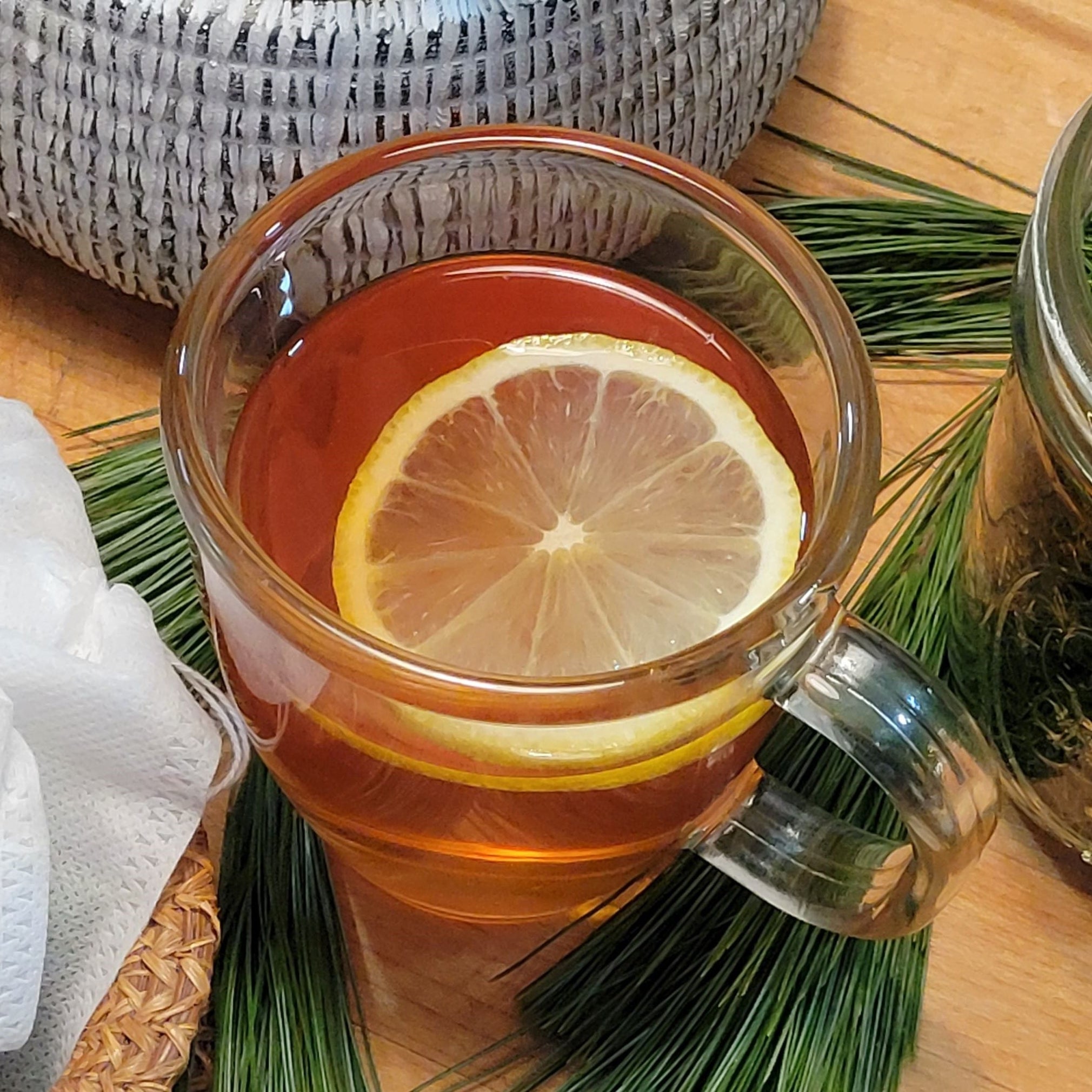 Immune Boosting White Pine Needle Tea - Fresh Loose Organic Eastern Wh ...